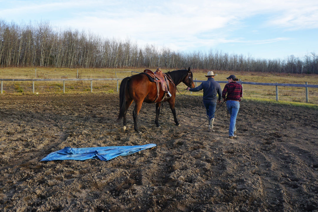 Exercises to Build Confidence: Tarp Work, Part 1 - Josh Nichol
