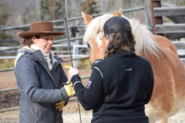 Meet the Team: An Interview with Brooke Rempel - Josh Nichol